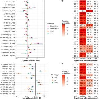Shared Impact Between Phenotypes For Cross Trait Analysis Lead Download Scientific Diagram