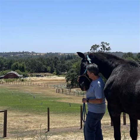 Neck Threadworm Equiderma