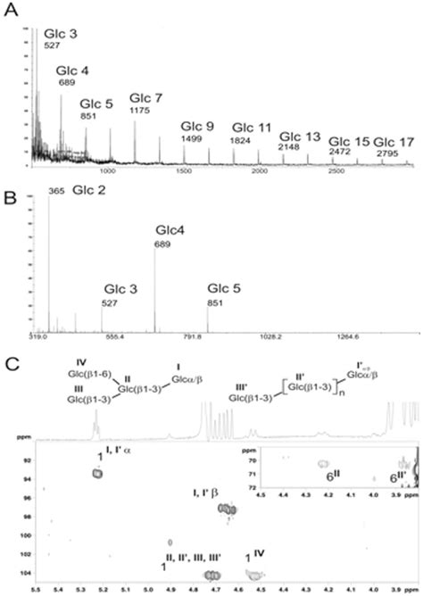 A Maldi Ms Analysis Of The Native Fraction Native Glycan Consisted Download Scientific