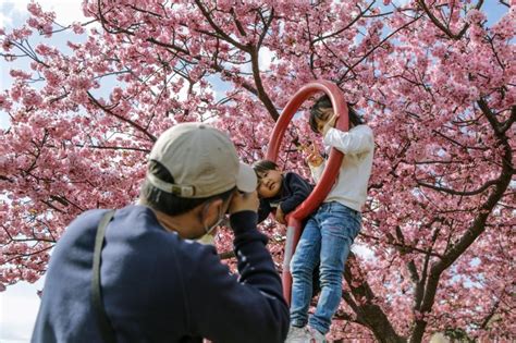日정부 이혼 후 자녀 공동 친권 인정 민법 개정 추진 파이낸셜뉴스