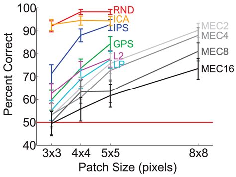 Experiment 1 Results Discriminability Estimates With 95 Binomial Download Scientific Diagram