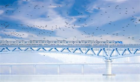 추천갤러리 기차가 있는 풍경