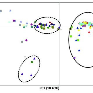 Principal Component Analysis Based On The Two First Principal Download Scientific Diagram