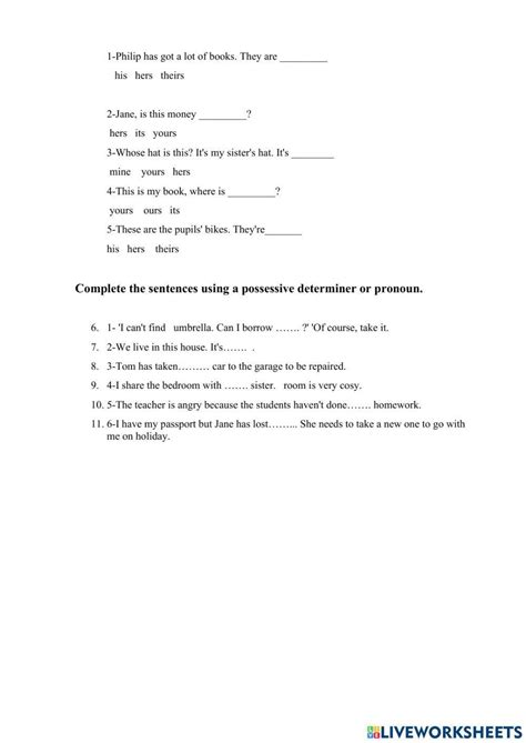 Posessive Prono Free Interactive Worksheets 1787114