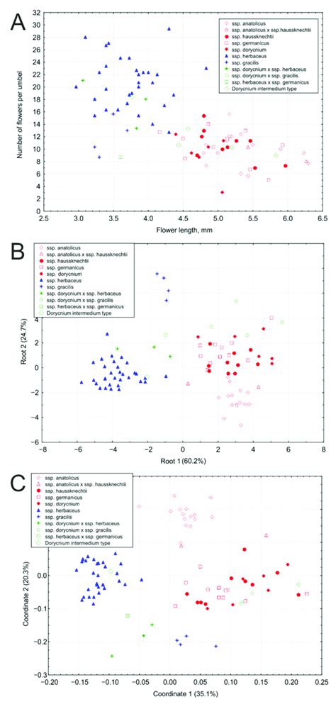 Results Of Morphometric Analyses Of The Lotus Dorycnium Complex A Download Scientific