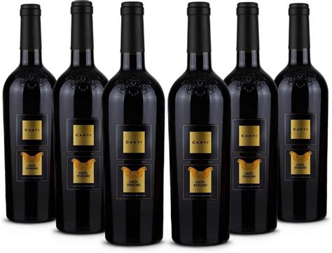 Canti Gran Passero Appassimento Igt Puglia Vin Rouge Sec Italien Set