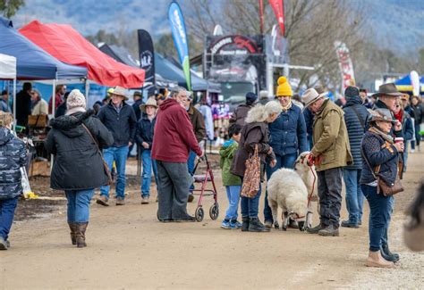 Foodies And Farmers Swarm To Mudgee Small Farms Field Days July 12 And 13 Mudgee Guardian