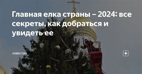 Главная елка страны 2024 все секреты как добраться и увидеть ее Известия Дзен