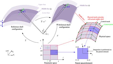 Schematic Illustration Of Shell Kinematics And Spaces In Iga Download Scientific Diagram