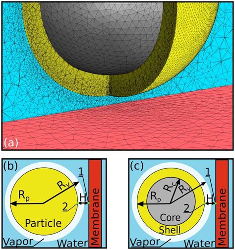 A Example Of An ANSYS Fluent Computational Mesh For The Download Scientific Diagram