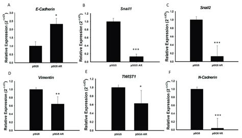 Ar Repressed Emt Process By Regulation Of The Expression Of Emt Marker