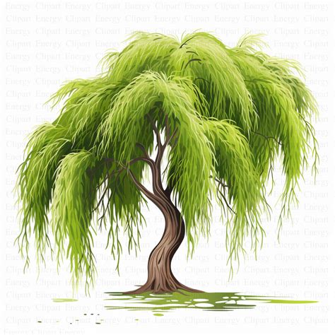 Willow Tree Clip Art