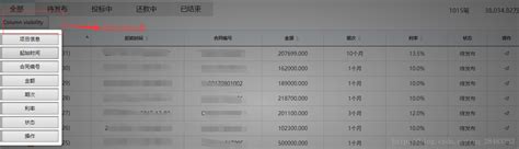 利用datatable实现 列的 显示隐藏你瞅啥 Csdn博客