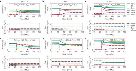 Examples Of The Dynamic Model Response To The Introduction Of Download Scientific Diagram