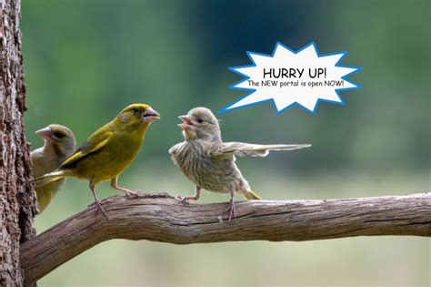 Arun Pandey Posted On Linkedin