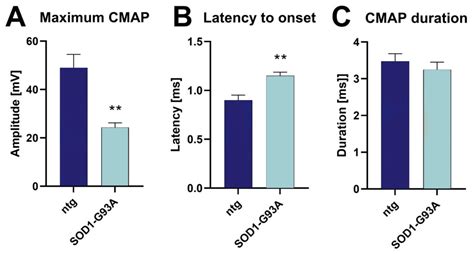 Measuring Compound Muscle Scantox