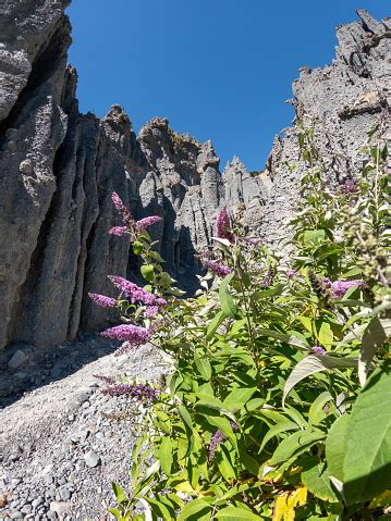 Putangirua Pinnacles In Wairarapa Â Rugged Badlands Terrain Iconic