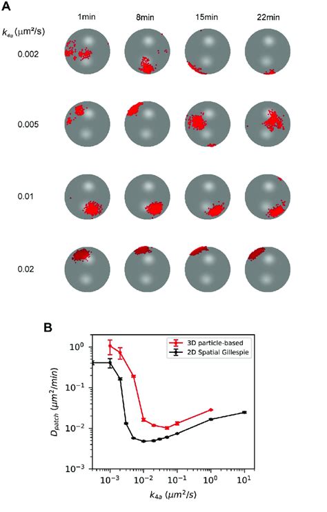 3d Particle Based Simulations Recapitulate 2d Spatial Gillespie Download Scientific Diagram
