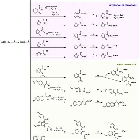 scheme 1 synthesis procedure to yield 1a 19a and 1b 19b derivatives