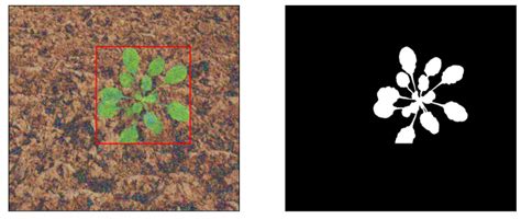 GitHub NesterukSergey Segmentation Image Augmentation