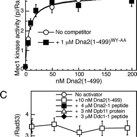 A Model For Sequential Binding Of Dna2 To Mec1 A Scheme Depicting