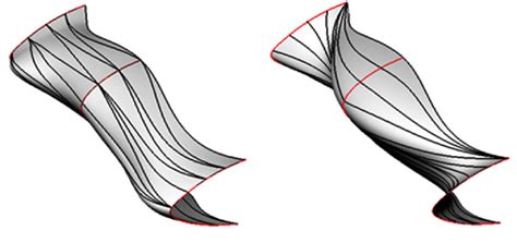 Figure 1 From Quasi Developable Surface Modeling Of Contours With