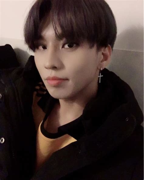 Pin By Liz G On Vanner Crazy Love Ner Van