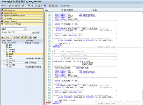 Sap的abap屏幕程序如何使用table Control进行数据交互 阿里云开发者社区