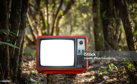 Red Retro Oldfashioned Tv With Cut Out Screen In Forest Background