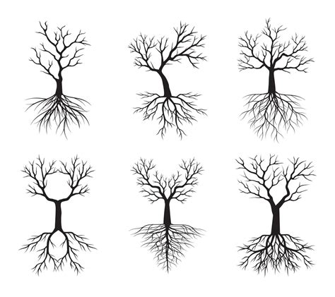 Set Of Black Tree With Roots Vector Outline Illustration Plant In Garden Vector Art