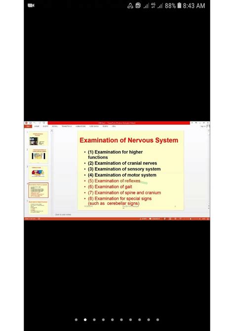 SOLUTION Cranial Nerves Examination Studypool