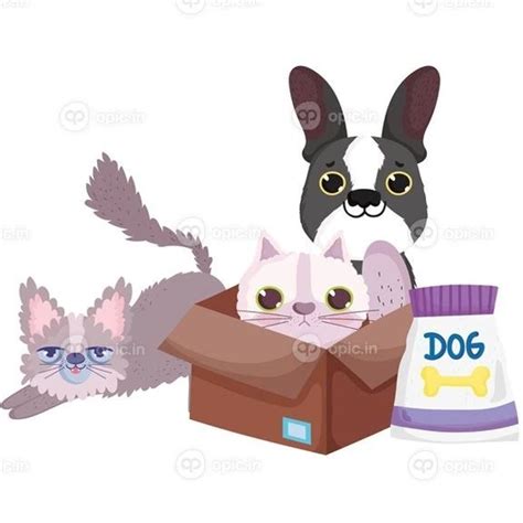 خرید و قیمت دانلود وکتور پت شاپ گربه و سگ کوچولو با جعبه و بسته غذایی