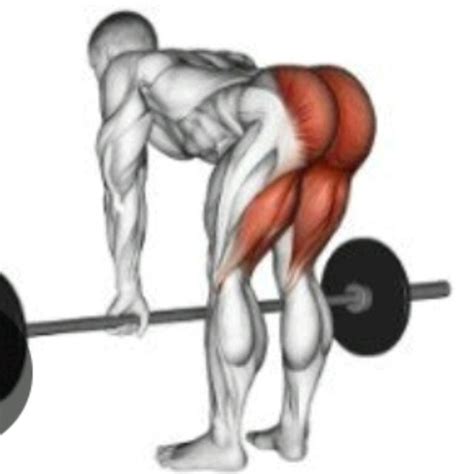 Rdls By Kc H Exercise How To Skimble Workout Trainer Rdls By Kc H Exercise How To Skimble Workout Trainer