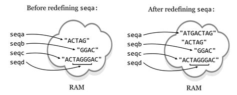 Elementary Data Types A Primer For Computational Biology