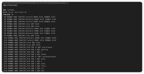 Github Shanghaifeiclass File Parser 字节码文件解析器