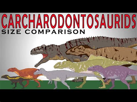 Carcharodontosaurus Size Comparison