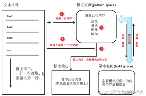 SHELL正则三剑客 SED CSDN博客