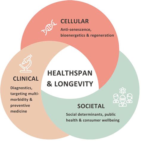 Frontiers The Longevity Med Summit Insights On Healthspan From Cell To Society