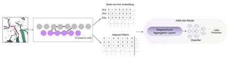 Contacts Only Modeling For Weakened Vs Improved Binder Classification