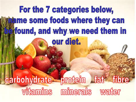 Food And Digestion A Complete Set Of Resources For Year 8 Teaching
