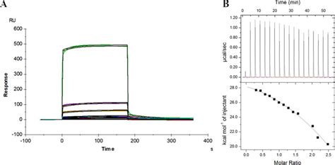 Spr And Itc Analyses Of Padhqs Binding To Cga Inhibitor A The