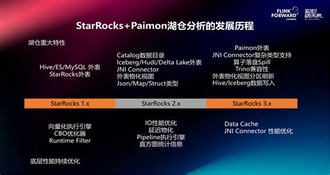 使用 paimon starrocks 极速批流一体湖仓分析 starrocks paimon csdn博客