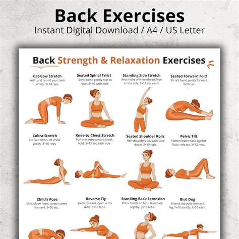 Back Exercises Seated And Standing Back Exercise Poster Upper And