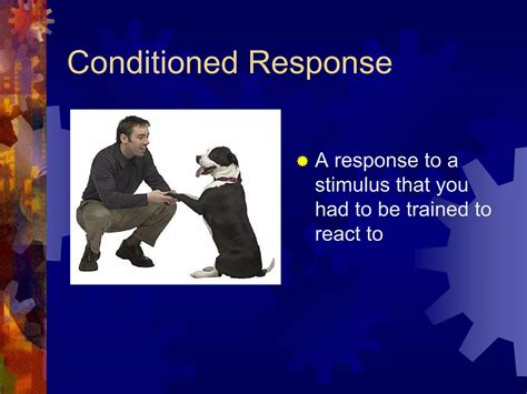 Classical Conditioning Presentationpptx Dogs Pets