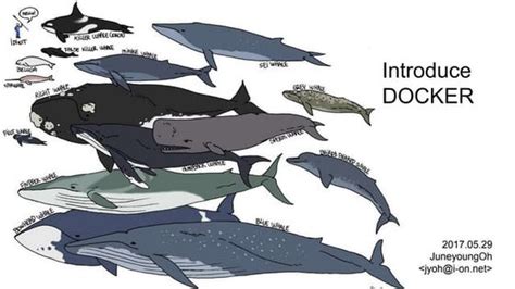 Docker 101 Introduction To Docker Pdf Operating Systems Computer Software And Applications