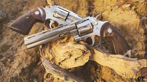 Colt Python Is Back Ny Gun Forum