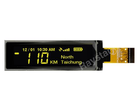208 Inch Oled Grayscale Module With 256x64 Resolution Raystar