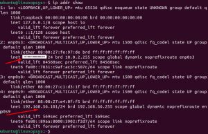 Set IP Address In Linux Using Ip Command