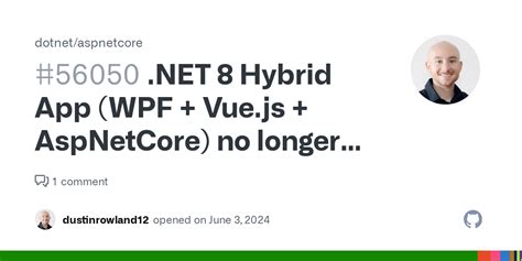 Net 8 Hybrid App Wpf Vuejs Aspnetcore No Longer Creates Root
