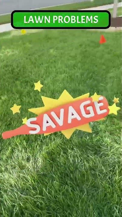 How To Kill Creeping Bentgrass In My Tall Fescue Lawn With Tenacity Herbicide Shorts Youtube